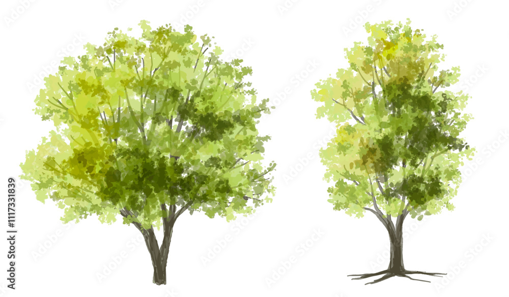 Vector watercolor green tree or forest side view isolated on white ...