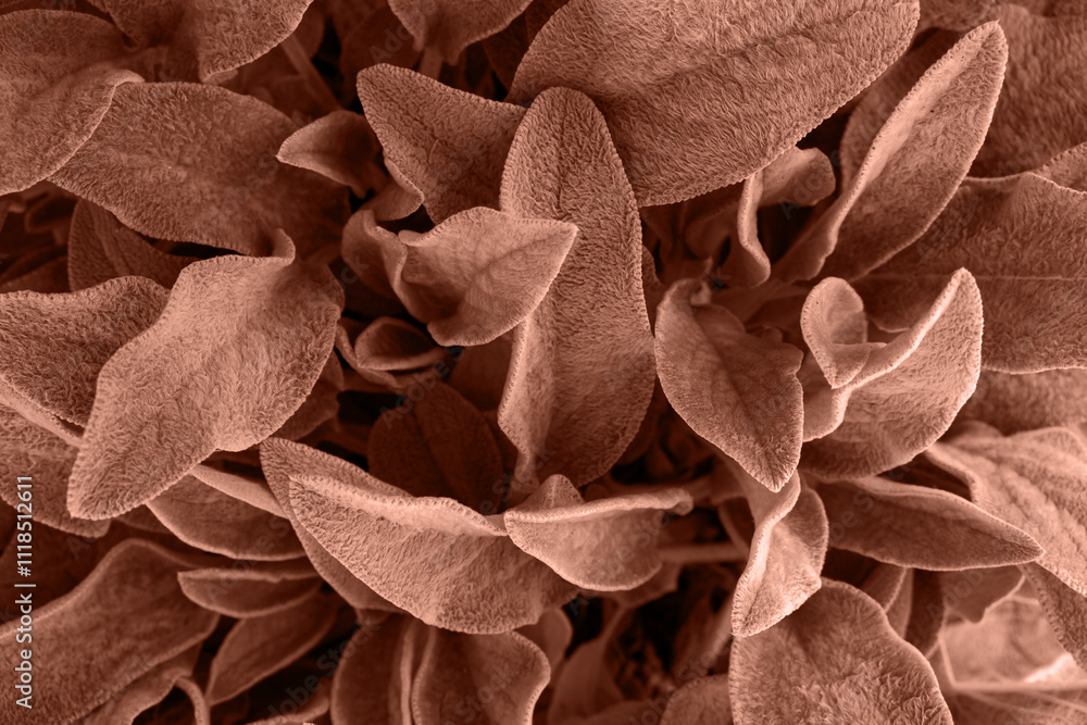 Background from leaves close-up in Color of the year, 2025, mocha ...