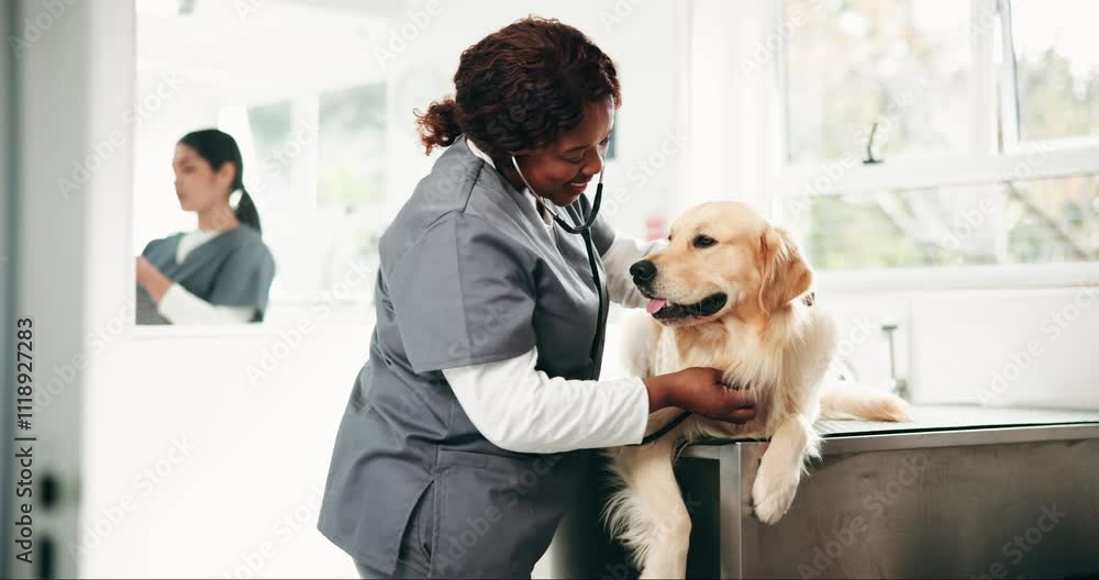 Woman, veterinarian and dog with stethoscope at clinic with care ...