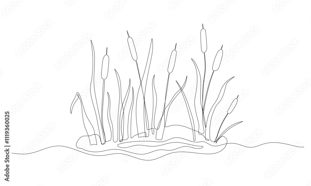 Reed one continuous line illustration. Hand drawn doodle drawing of ...