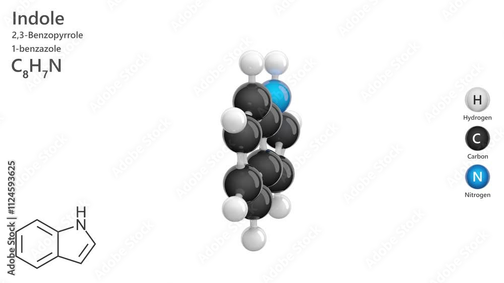 Indole. Aromatic heterocycle. Animated 3D model of a molecule ...