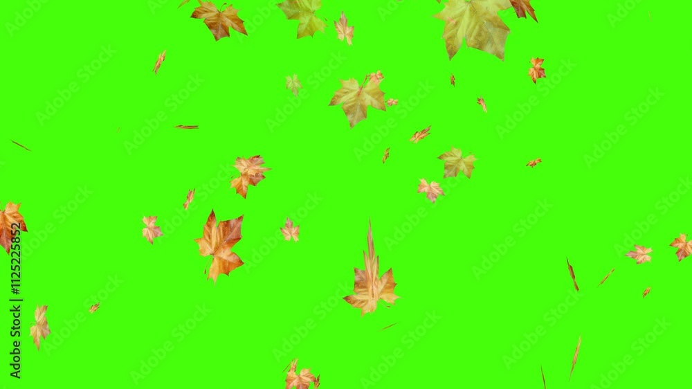 Exceptionally high quality, realistic falling autumn leaves 4K ...