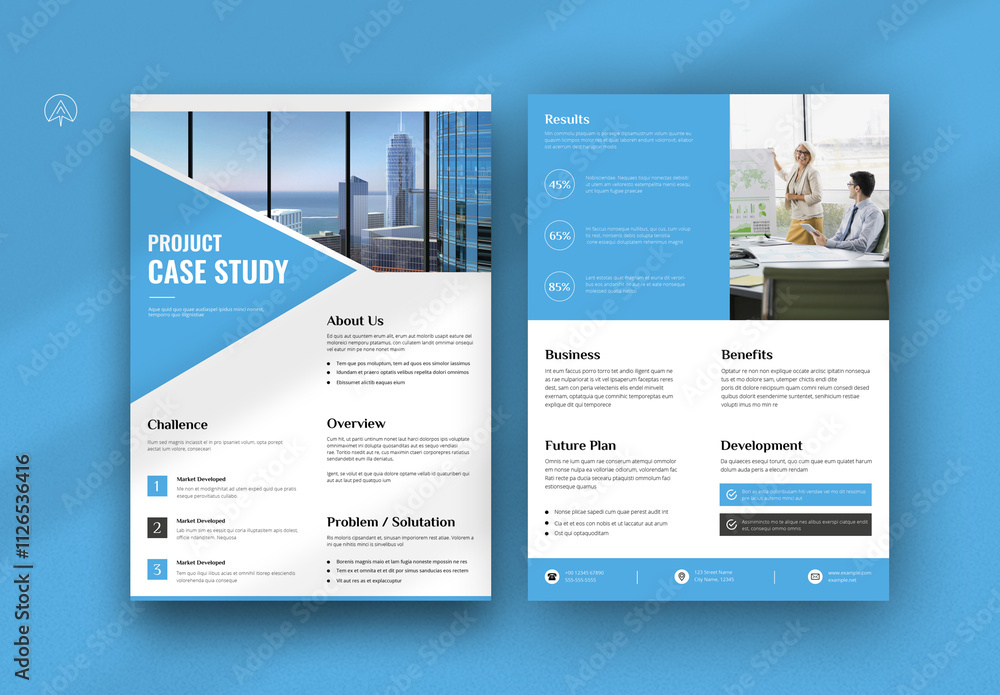 Project Case Study Flyer Template Stock Template | Adobe Stock