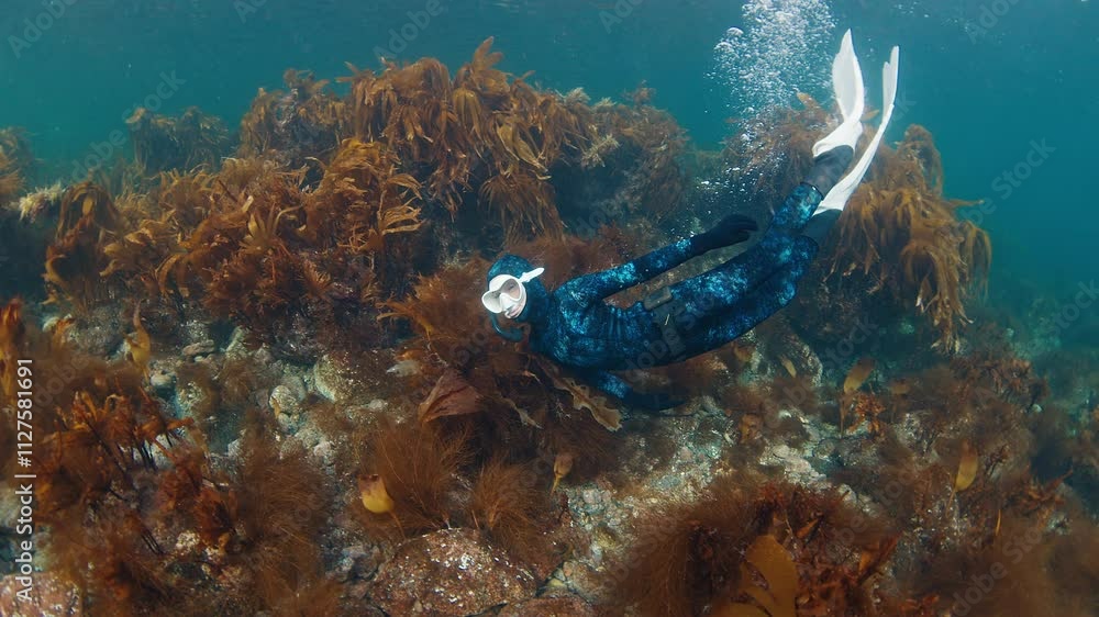 Arctic freediving. Young woman freediver dives in the Barents Sea in a ...