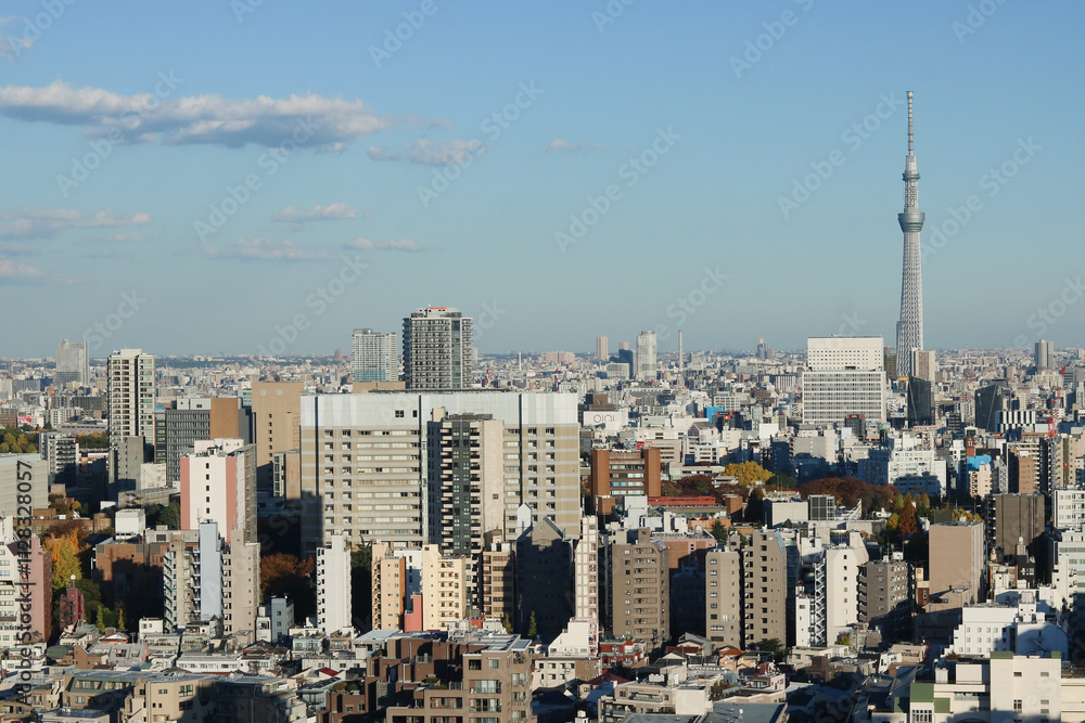 TOKYO, JAPAN - November 28, 2024: Overhead view of Tokyo from Bunkyo ...