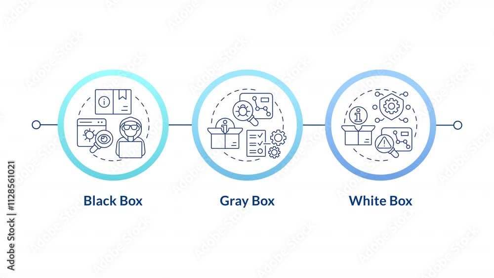 Software Penetration Testing Methods Infographic Circles Animation Cyber Security