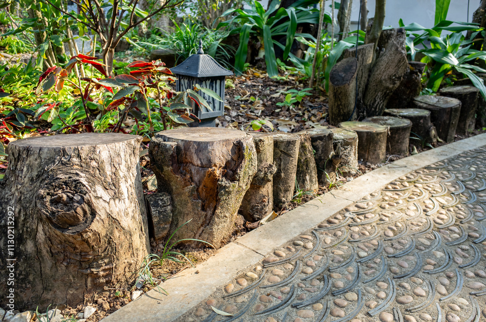 Edge of a garden path or walkway, constructed using natural tree trunks ...