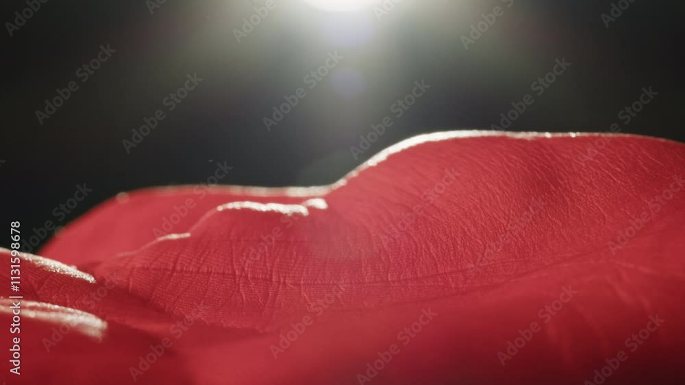 Close-up of man hand skin texture. Macro Detailed human skin, lines on ...