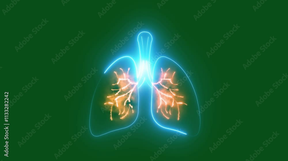 animated neon lungs respiratory organs healthy and unhealthy human body ...