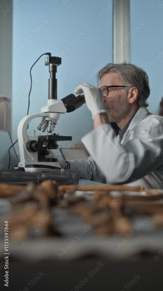 Mature scientist uses microscope, then examines bones of prehistoric ...