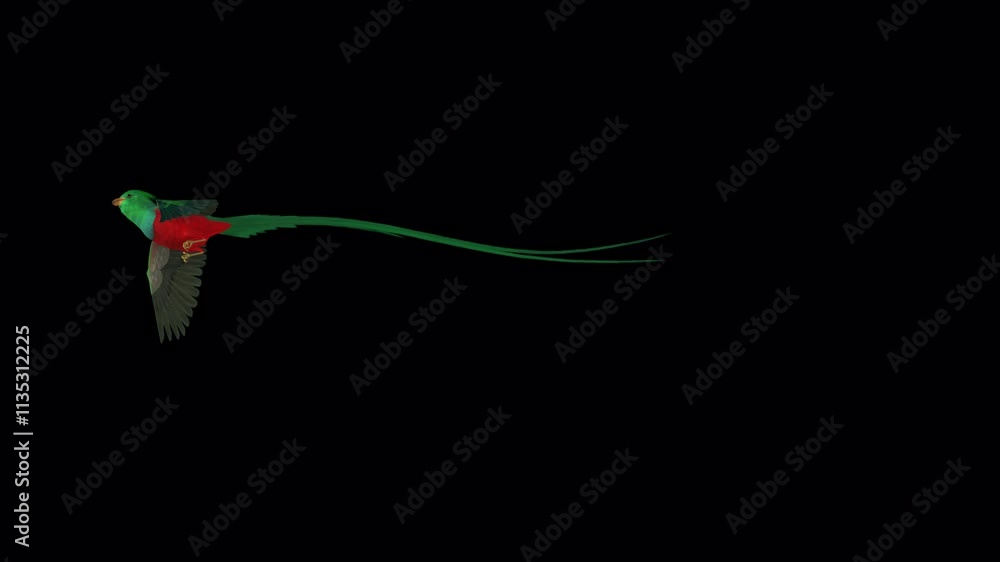 Resplendent Quetzal - South American Colorful Bird - Sacred Spiritual ...