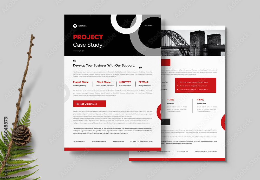 Case Study Design Template Stock Template | Adobe Stock
