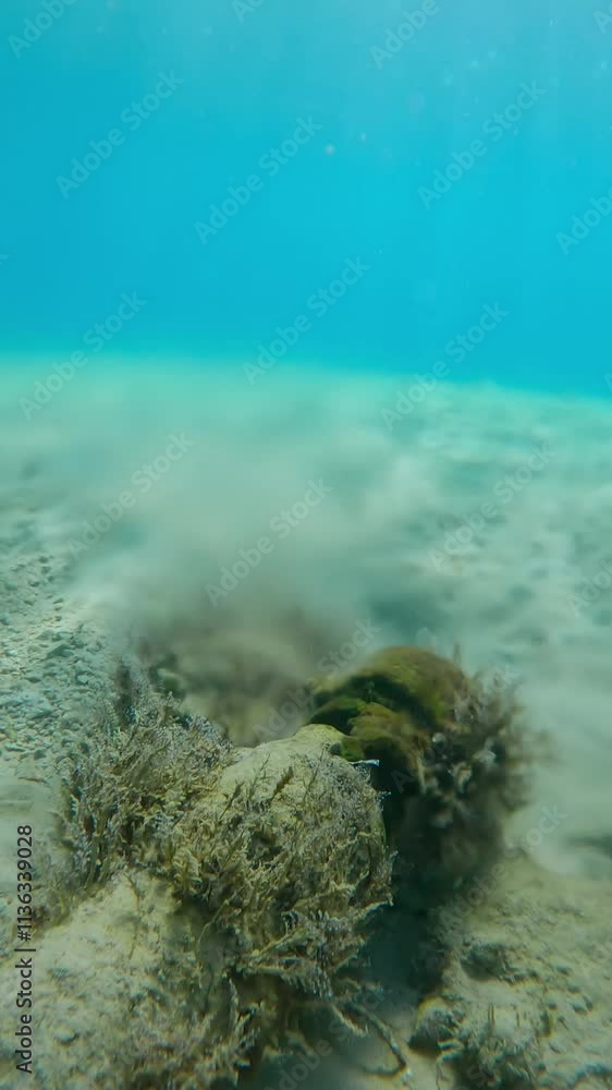 Vertical video, Fresh water is mixed with sea water as result of damage ...