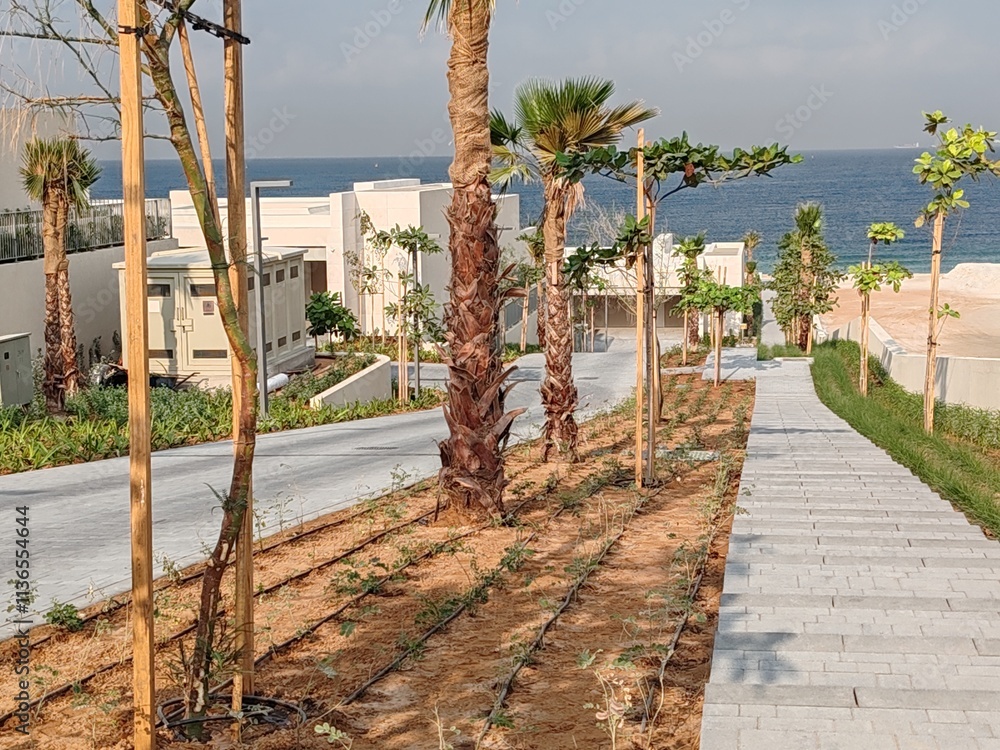 Interlock path with stairs and road between landscaping area. Green ...