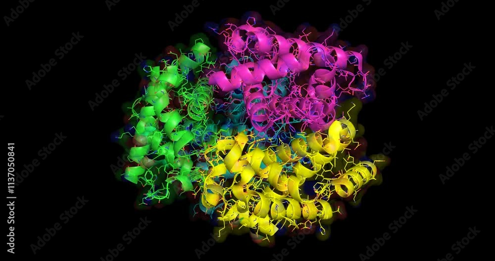Human hemoglobin, red blood cells oxygen transport molecule 3D ...