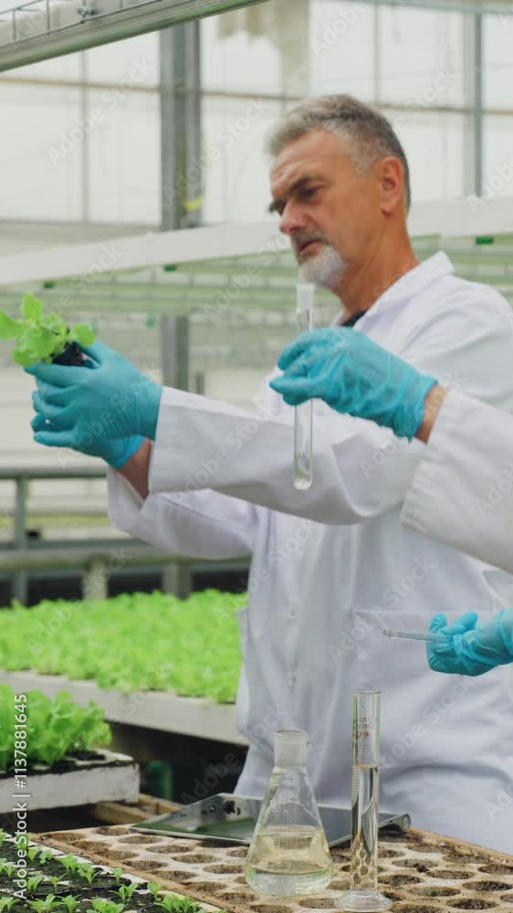 Scientific research on plants. Scientists take samples of soil, leaves ...