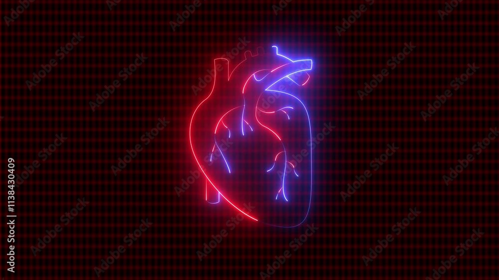 Neon human heart animation. Animation of a beating glowing human heart ...