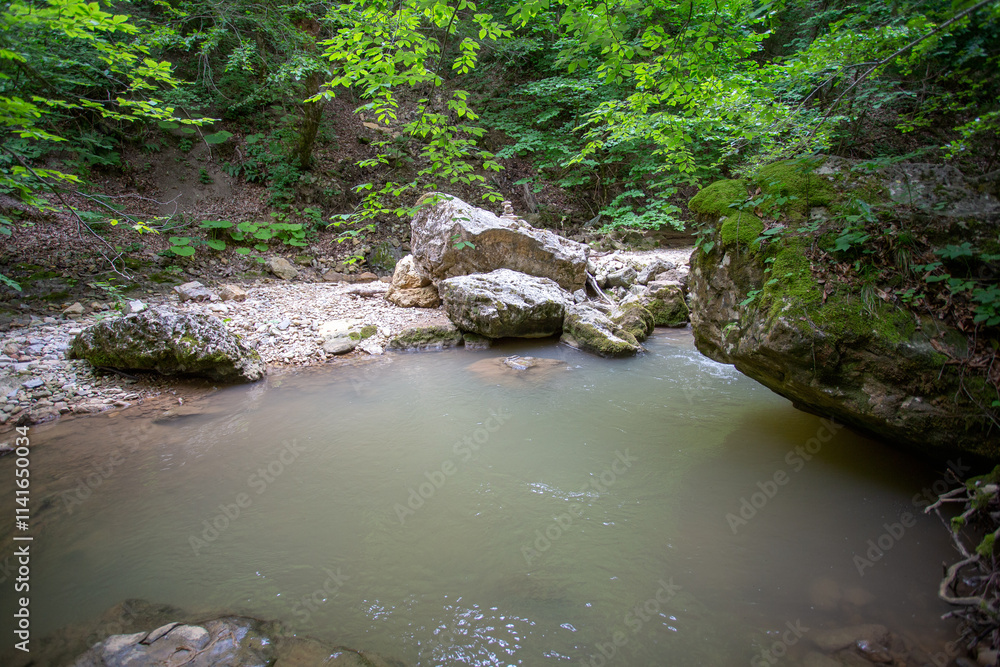 nature park , spring mood, walk through the forest and riverbed with an ...