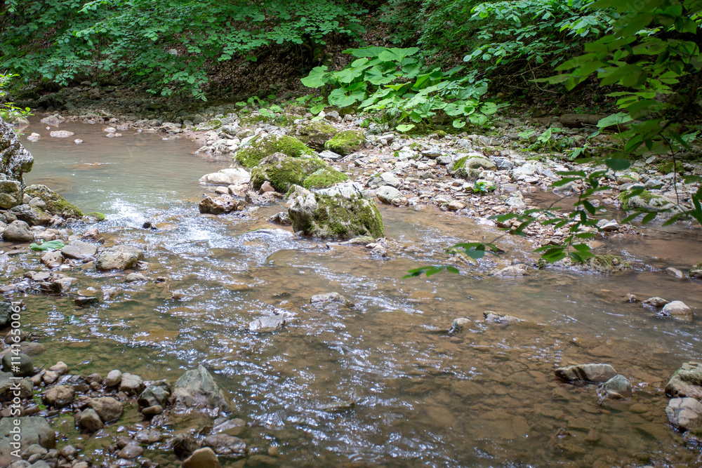 nature park , spring mood, walk through the forest and riverbed with an ...