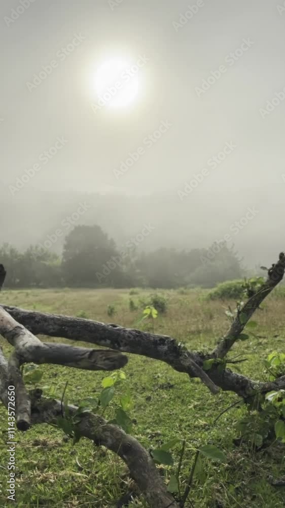 Mayon Volcano video clips with a beautiful sky and clouds with horse in ...