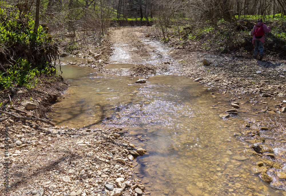 nature park , spring mood, walk through the forest and riverbed with an ...