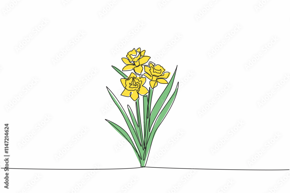 Continuous one line drawing three stalks of daffodil flowers. Trying to ...
