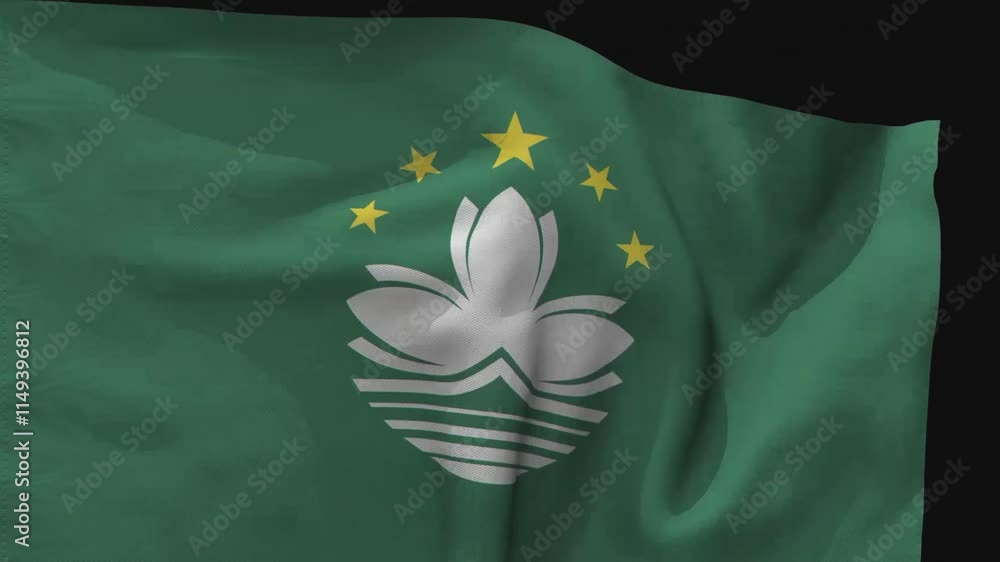 The Light Green with a White Lotus Flower, Five Gold Stars, and a ...