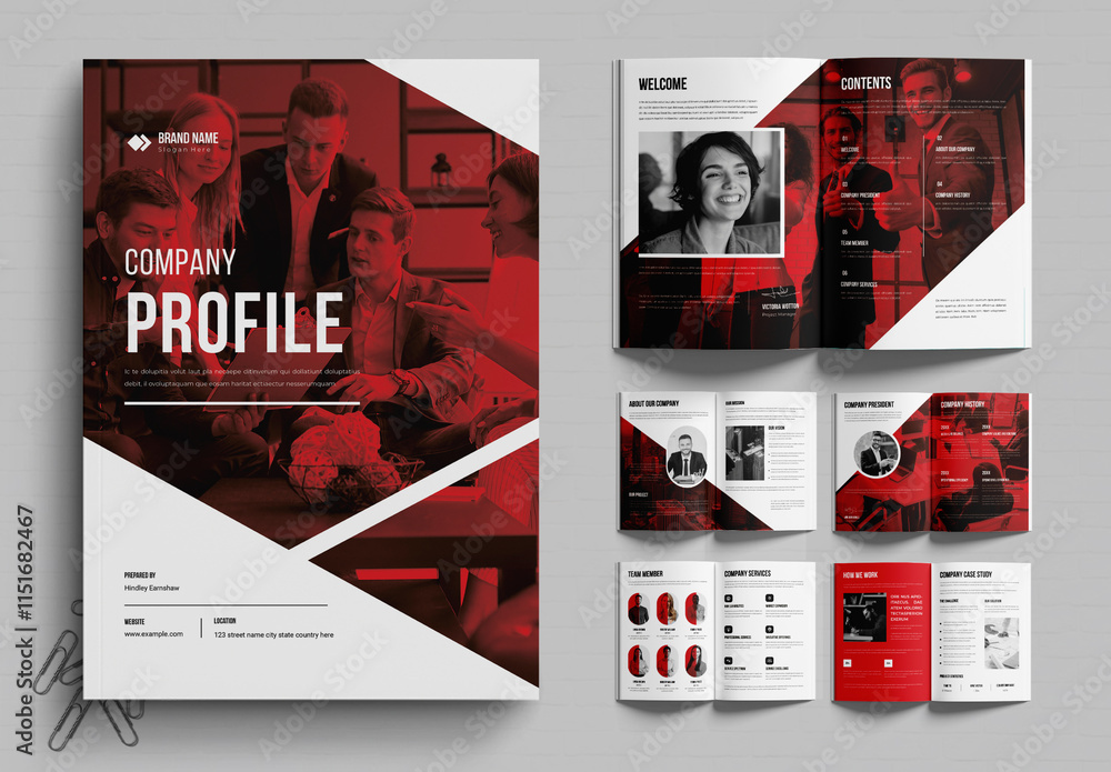 Modern Company Profile Design Stock Template | Adobe Stock