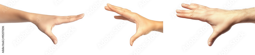 three hands are shown in a horizontal line the hand on the left is a ...