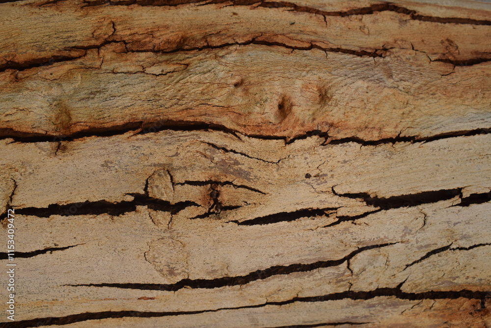 Poster Wood Textures of Puebla, Mexico – Wall Art | UkPosters