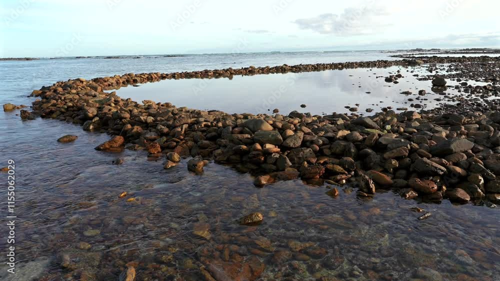 Vidéo Stock Ancient Rasperpunt fish traps along the L'Agulhas shoreline ...