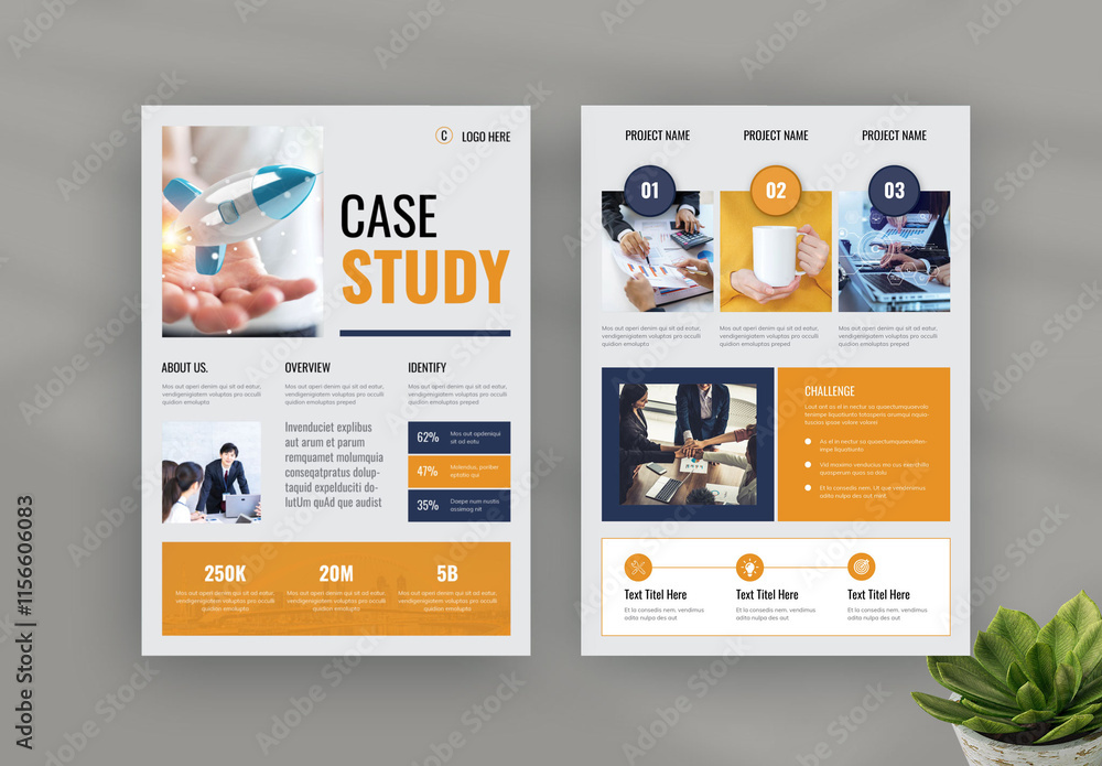 Case Study Flyer Template Stock Template | Adobe Stock