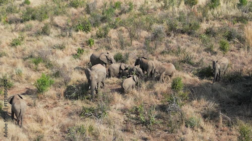 Safari Trip At Kruger National Park South Africa. Game Drive Safari ...