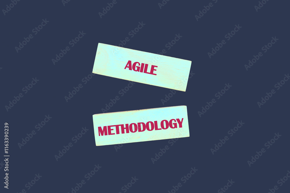 Understanding agile methodology concepts and principles in project ...