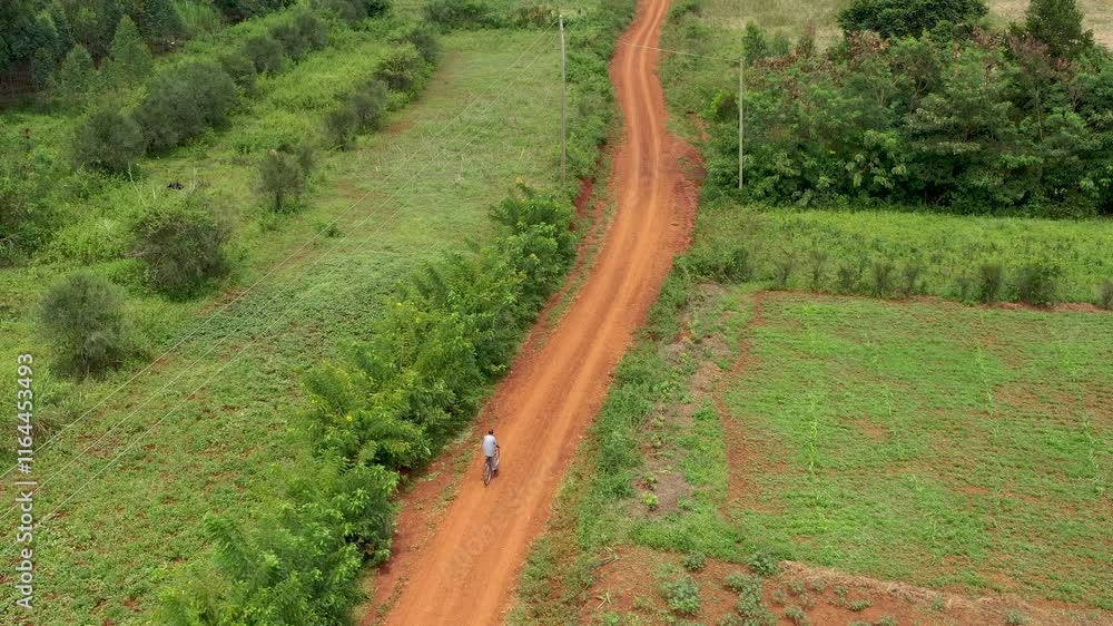 A man riding a bicycle on a dirt road among trees in an African village ...