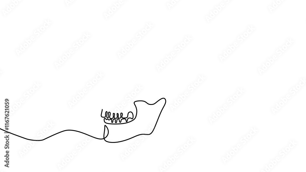 One line human organs design silhouette. Abstract human skull isolated ...