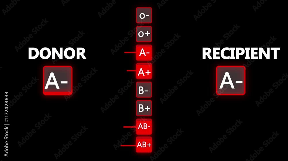 Abstract blood group processing . donor and recipient process, 4k ...