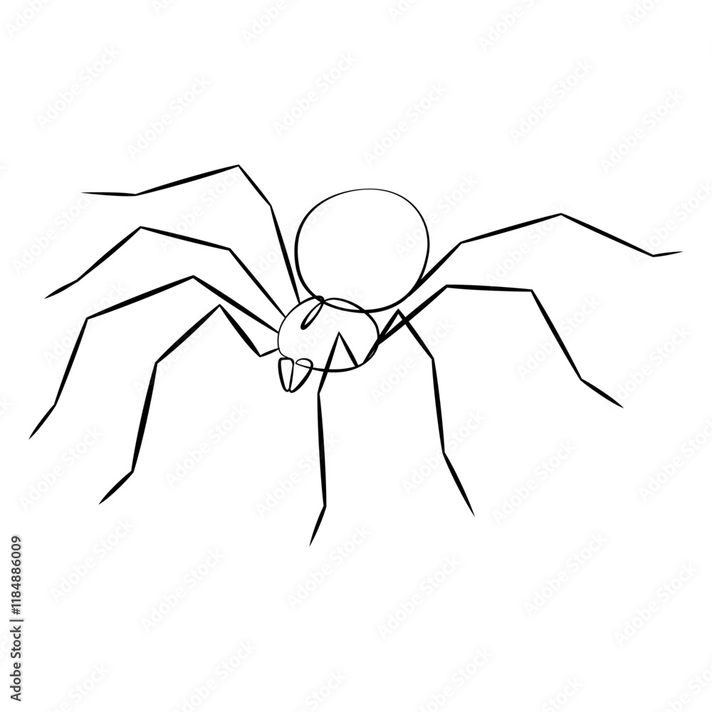 Poster Spider line drawing on white isolated background – Wall Art ...