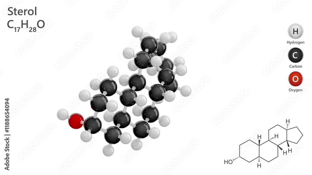 Sterol. Animated 3D model of a molecule. Molecular formula: C17H28O ...