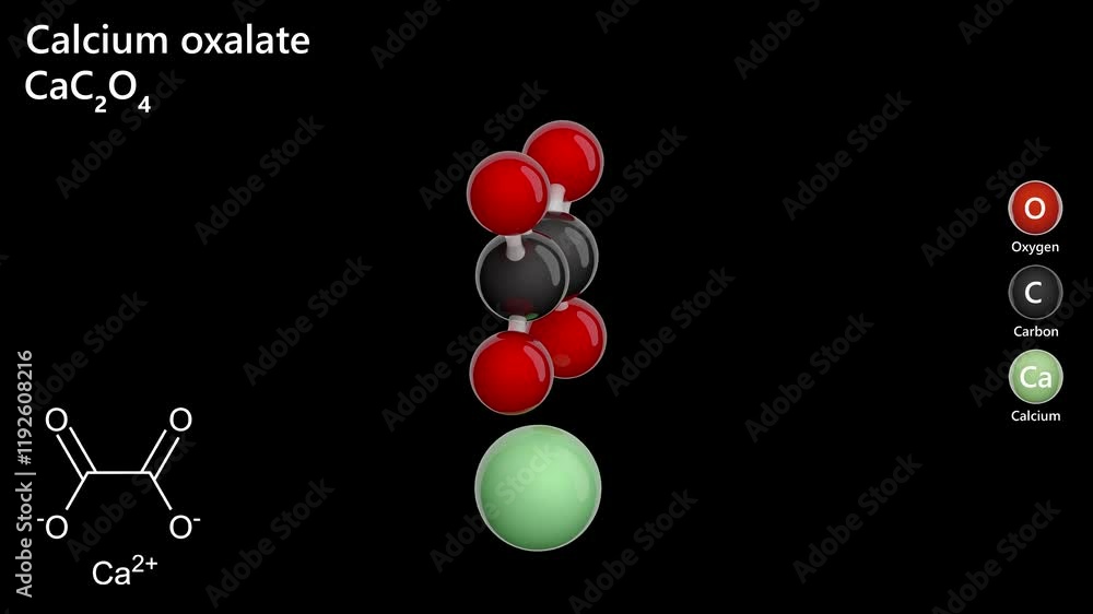 Calcium Oxalate. Kidney stones. Animated 3D model of a molecule ...