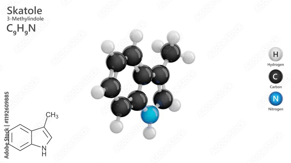 Skatole or Scatole. Fragrance. Animated 3D model of a molecule ...
