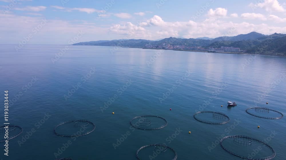 Footage of fish ponds, the main form of aquaculture. Salmon, sea bass ...