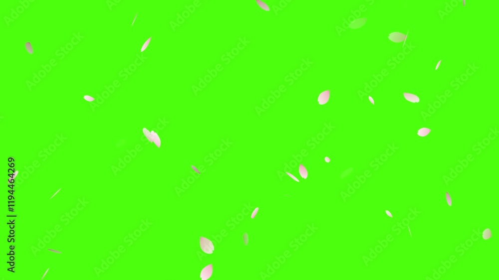 Vidéo Stock cherry blossom particle animation green screen. Cherry ...
