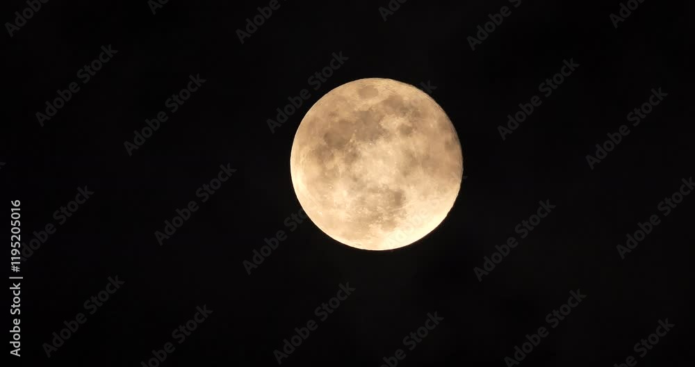 January full moon in the night sky,wolf moon 2025 Stock 비디오 | Adobe Stock