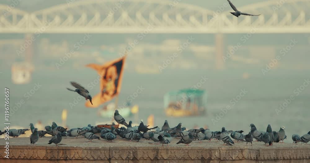 Varanasi, India. Birds Take Off And Land On Sacred Ghat In Varanasi ...