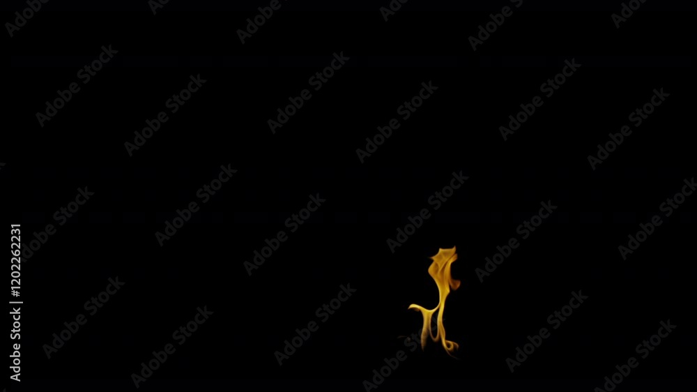 Fire and flame on alpha channel 4K. Realistic burning fire on the ...