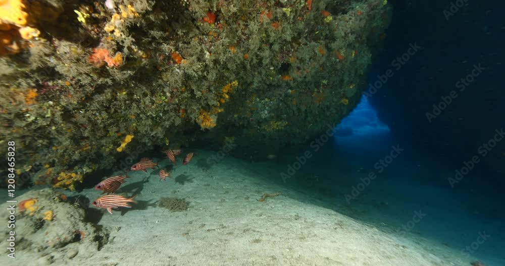 cave diving underwater exploring caves and having fun ocean scenery sun ...