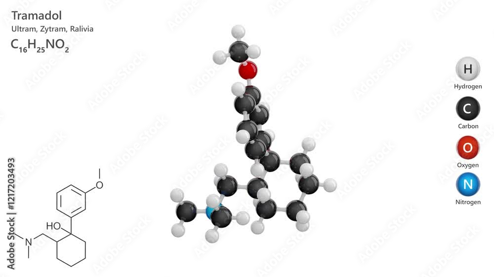 Tramadol. Analgesic. Animated 3D model of a molecule. Molecular formula ...