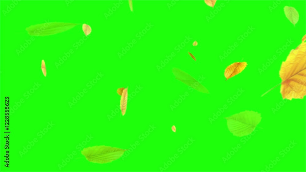 Fall autumn leaves animation - Vertical video on green screen, autumn ...