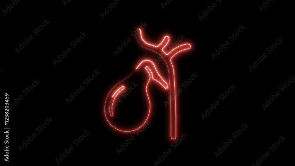 Glowing Neon Gallbladder Icon Animation on Black Background, HD Motion ...